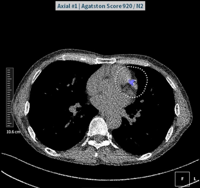 deepcOS - AI portfolio